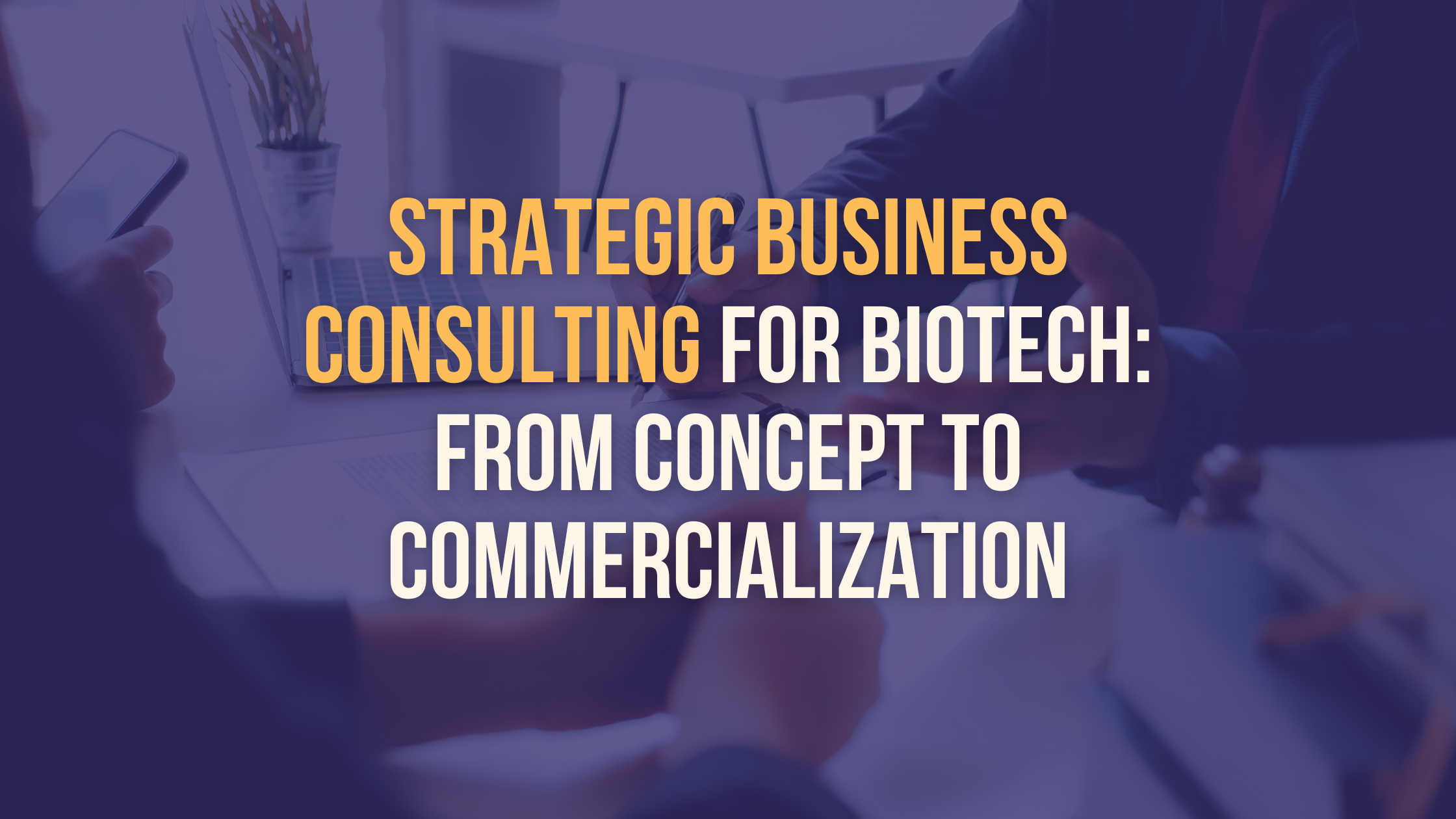 Strategic Business Consulting for Biotech: From Concept to ...